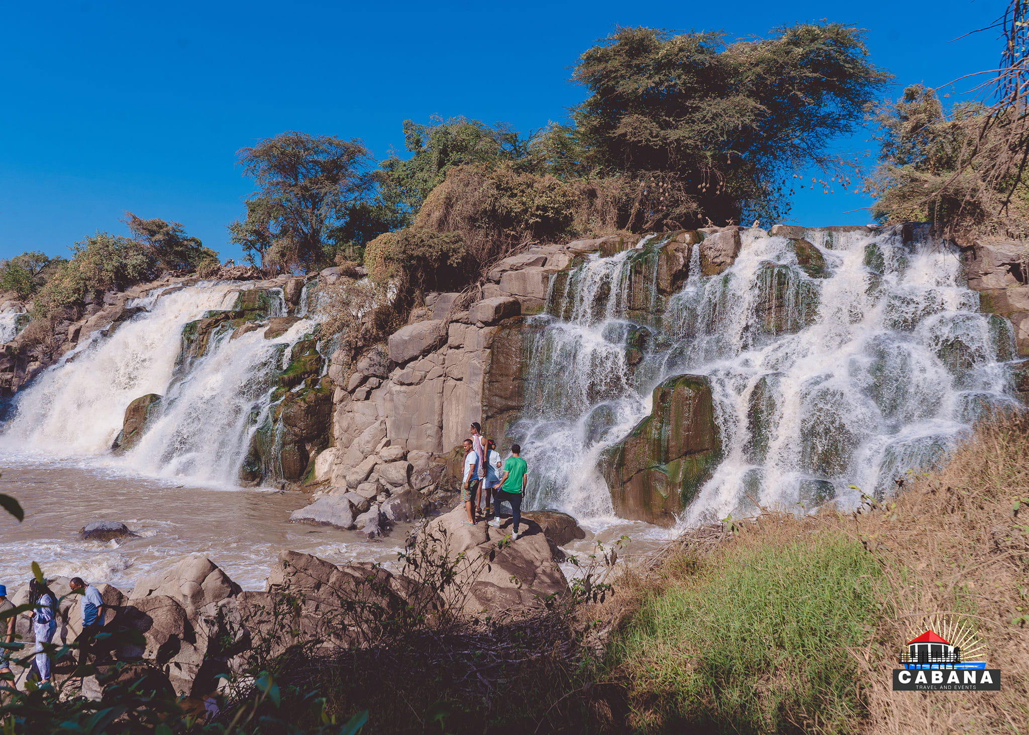 2 Days Wildlife Safari to Awash National Park - Danakil Depression Tours